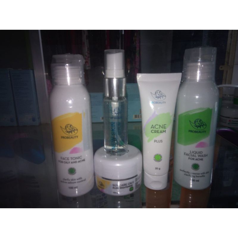 Jual PROBEAUTY PAKET ACNE SCAR/BOPENG | Shopee Indonesia