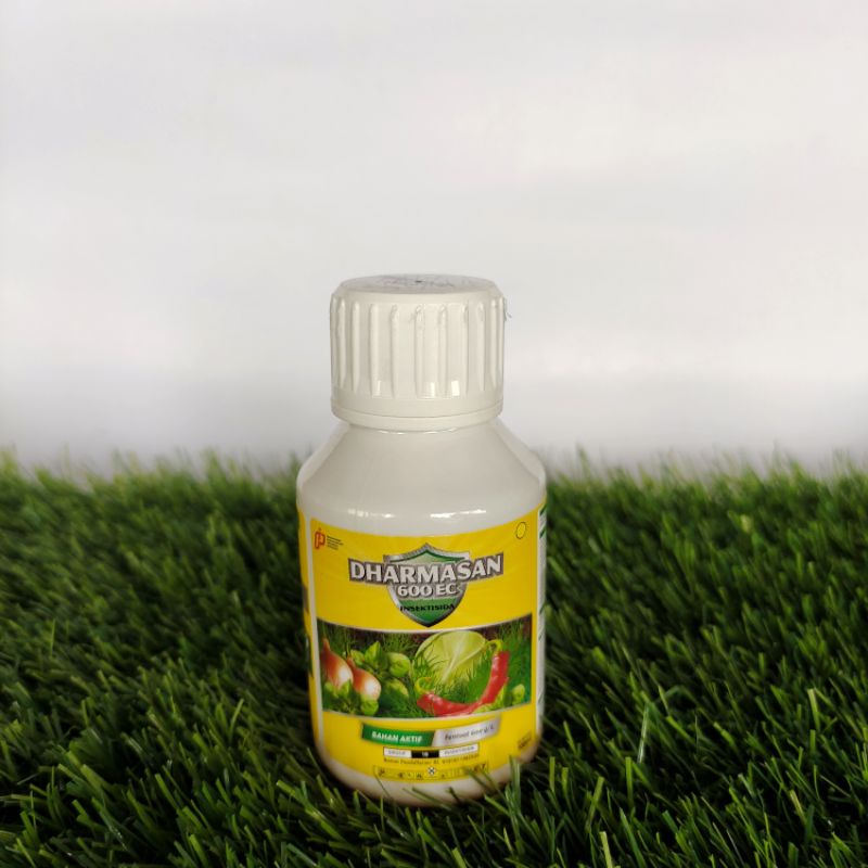 Jual INSEKTISIDA DHARMASAN 600EC 100ml | Shopee Indonesia