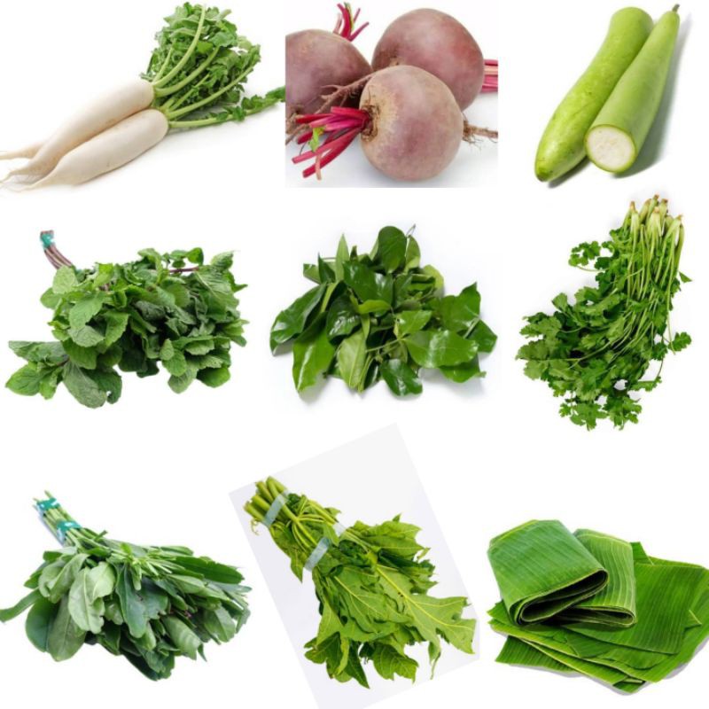 Jual Lobak, Buah Bit, Labu Air, Daun Mint, Daun So, Daun Ketumbar, Daun ...