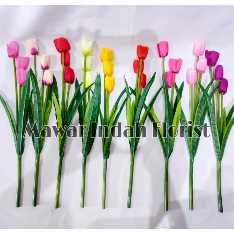 Jual BUNGA TULIP X3 (SSF 1650 CH) | Shopee Indonesia