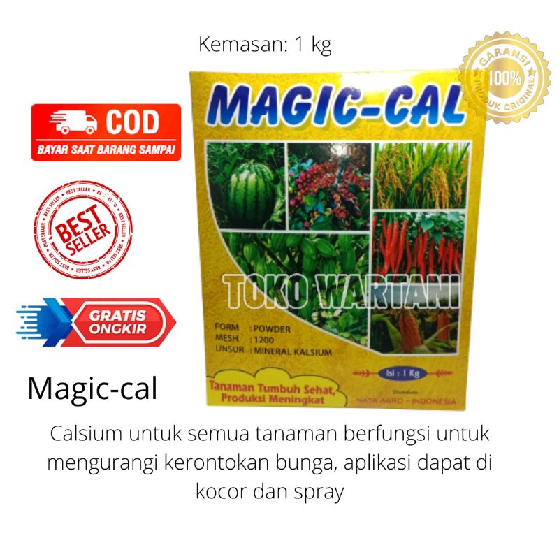 Jual MAGIC-CAL Mineral kalsium 1kg | Shopee Indonesia