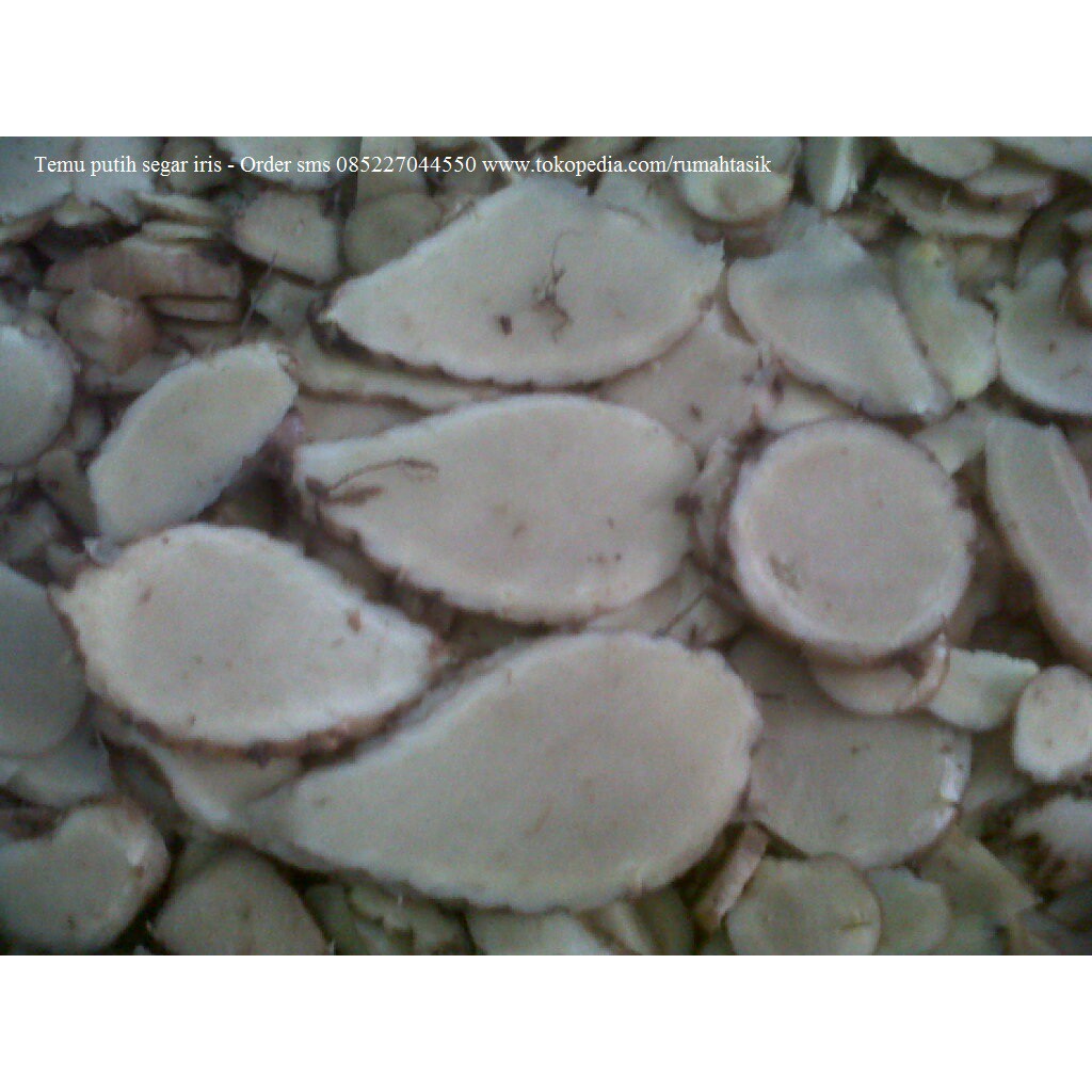 Jual Temu putih segar iris 1 kg - kunir putih (Curcuma Zedoaria ...