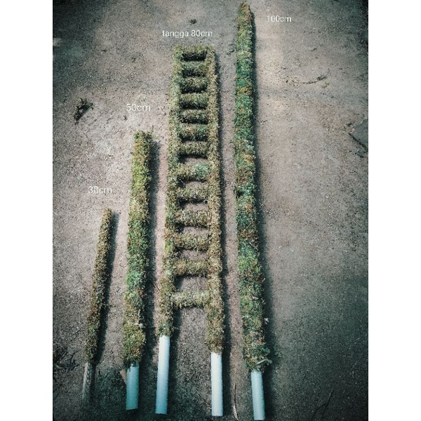 Jual paket turus lumut untuk tanaman rambat | Shopee Indonesia