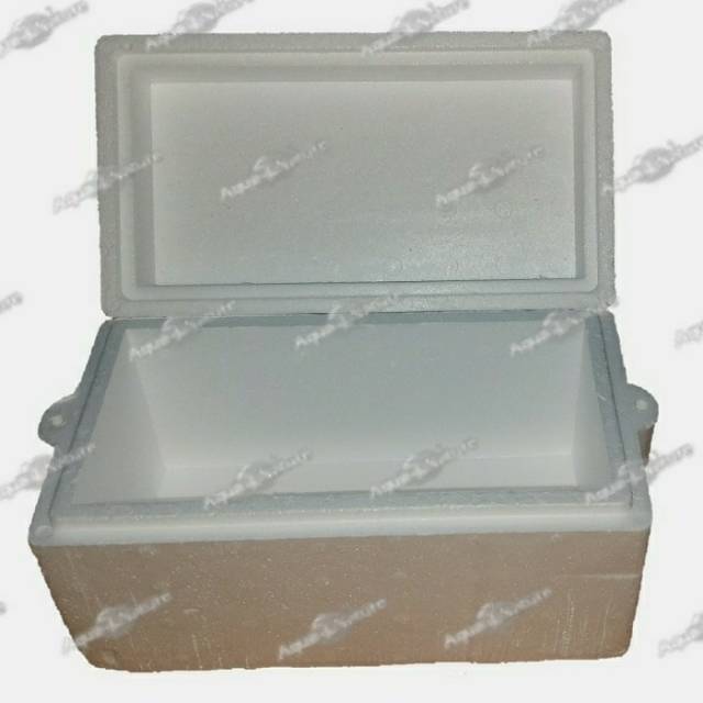 Jual Kotak Gabus / Styrofoam Box 28,5 x 15 x 16 cm | Shopee Indonesia
