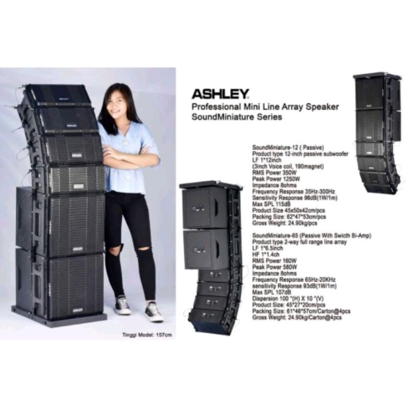 Jual Speaker Line Array Ashley Mini Soundminiature Series array 6.5 ...