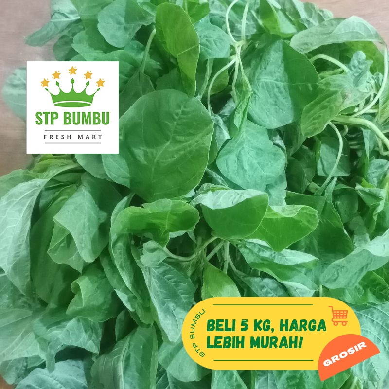 Jual Sayur Bayam Hijau Segar Fresh 1 kg / Bayam 1kg | Shopee Indonesia