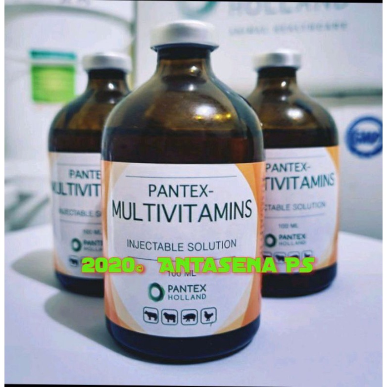 Jual PANTEX- MULTIVITAMINS (multivitamin konsentrasi tinggi) | Shopee ...