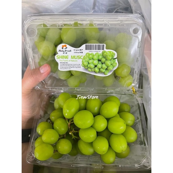 Jual Anggur Hijau Shine Muscat Green Seedless Import Buah Segar Fresh ...