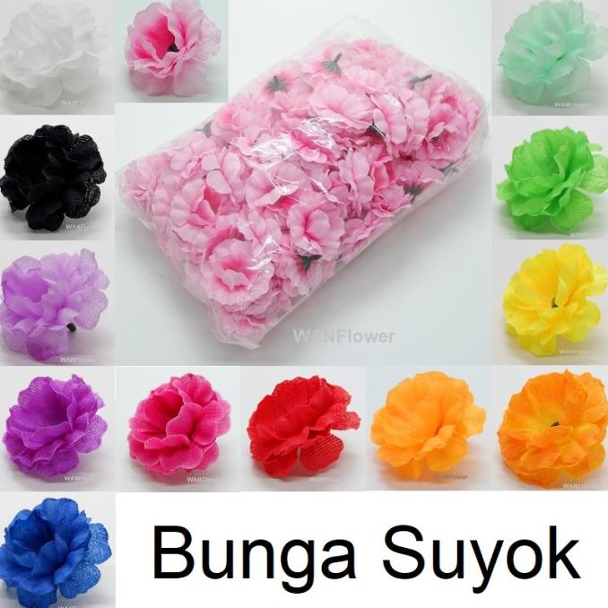Jual WANFlower Bunga Papan Suyok X100 * ALL (perBungkus) | Shopee Indonesia