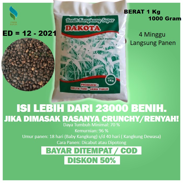 Jual Benih Sayuran Benih Kangkung 1 Kg Bangkok Biji Benih Sayur Tanaman ... Jual Benih Sayuran Benih Kangkung 1 Kg Bangkok Biji Benih Sayur Tanaman ...