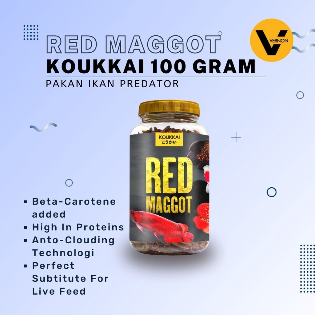 Jual Red Maggot KOUKKAI with Beta-carotene Pakan Ikan Predator | Shopee ...