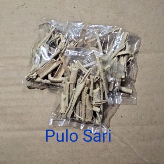 Jual KAYU PULOSARI KERING,DRIED PULOSARI (1PCS) | Shopee Indonesia