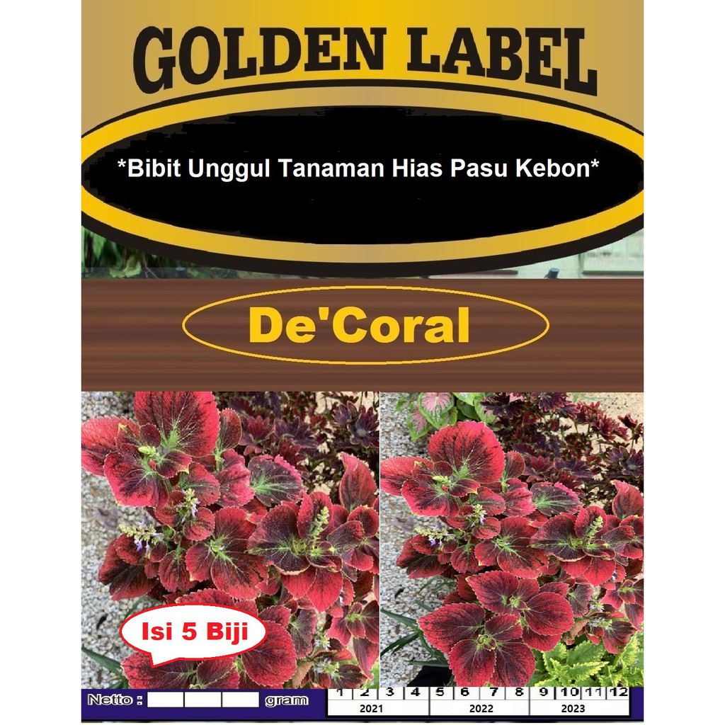 Jual Bibit Tanaman Hias Pasu Kebon | Benih Tanaman Hias Pasu Kebon ...