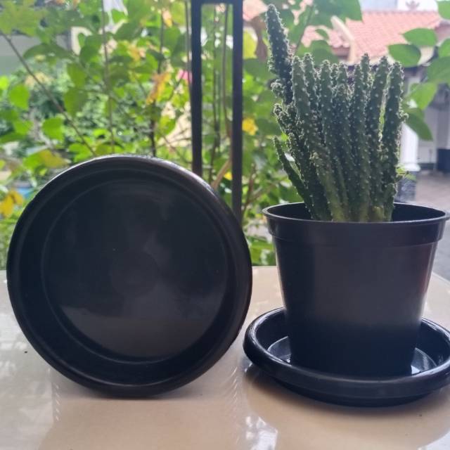 Jual Tatakan pot bunga 10 kecil Dim 8cm | Shopee Indonesia