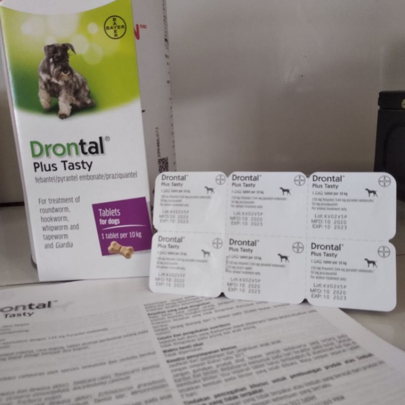 Jual Bentuk Tulang Drontal plus Tasty obat cacing anjing dog dewormer ...