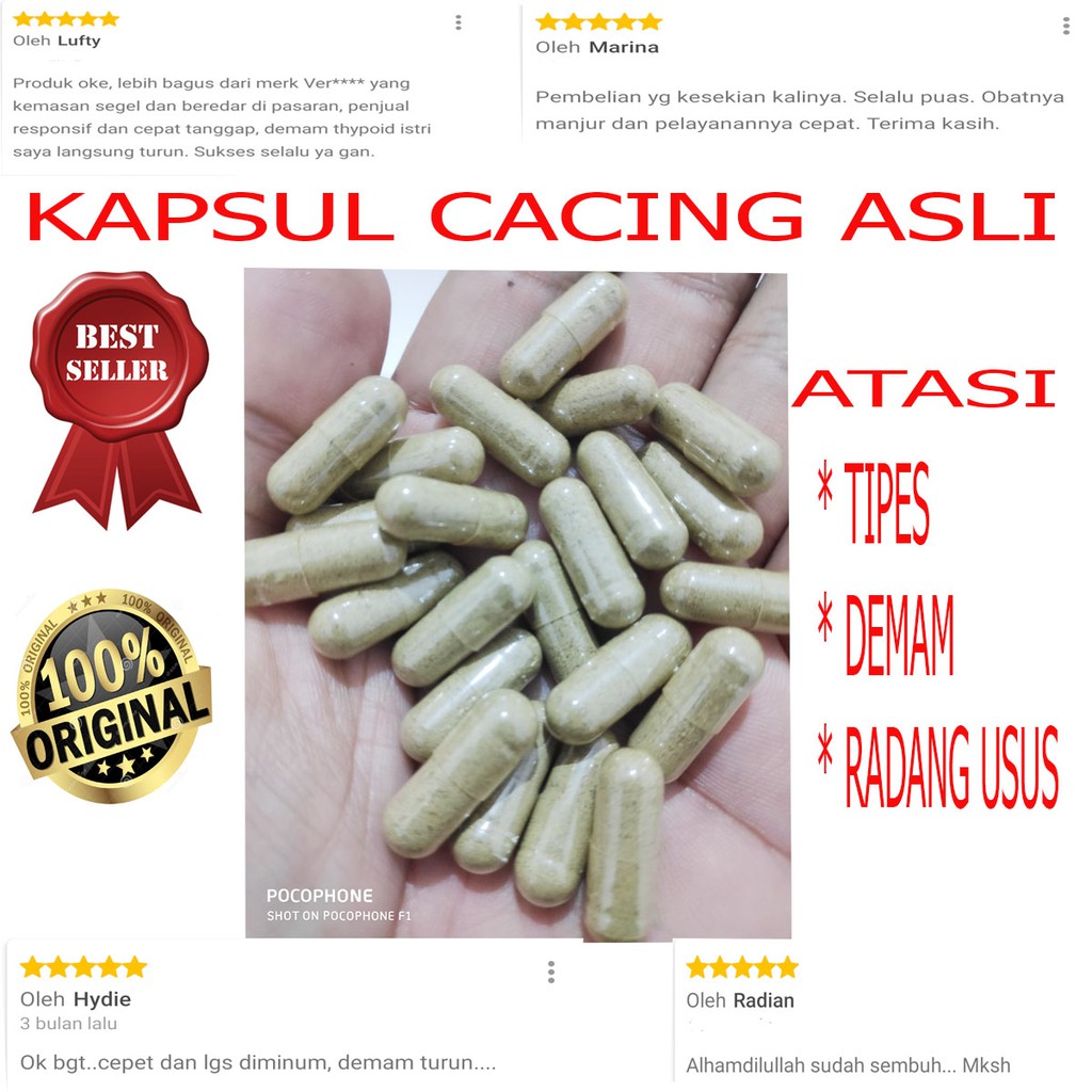 Jual KAPSUL CACING ASLI obat tipes dan demam paling manjur | Shopee ...