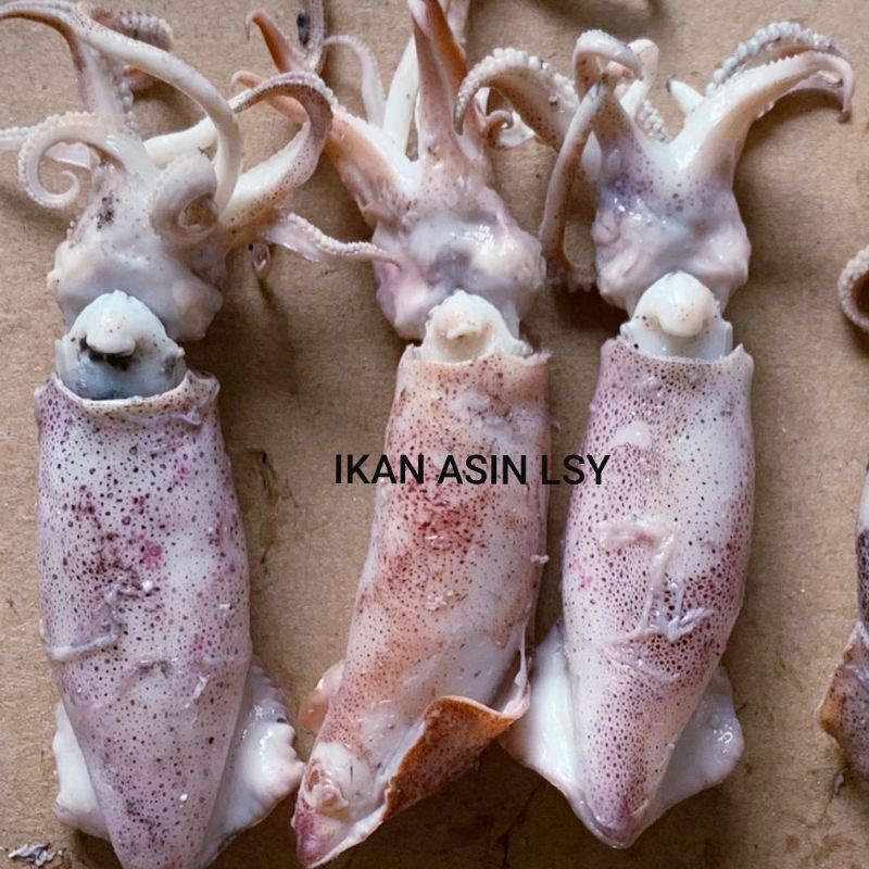 Jual ikan asin cumi rebus / sotong rebus size jumbo 250gram | Shopee ...