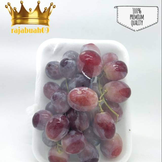 Jual Buah Anggur Merah 500 gram / Anggur Import | Shopee Indonesia
