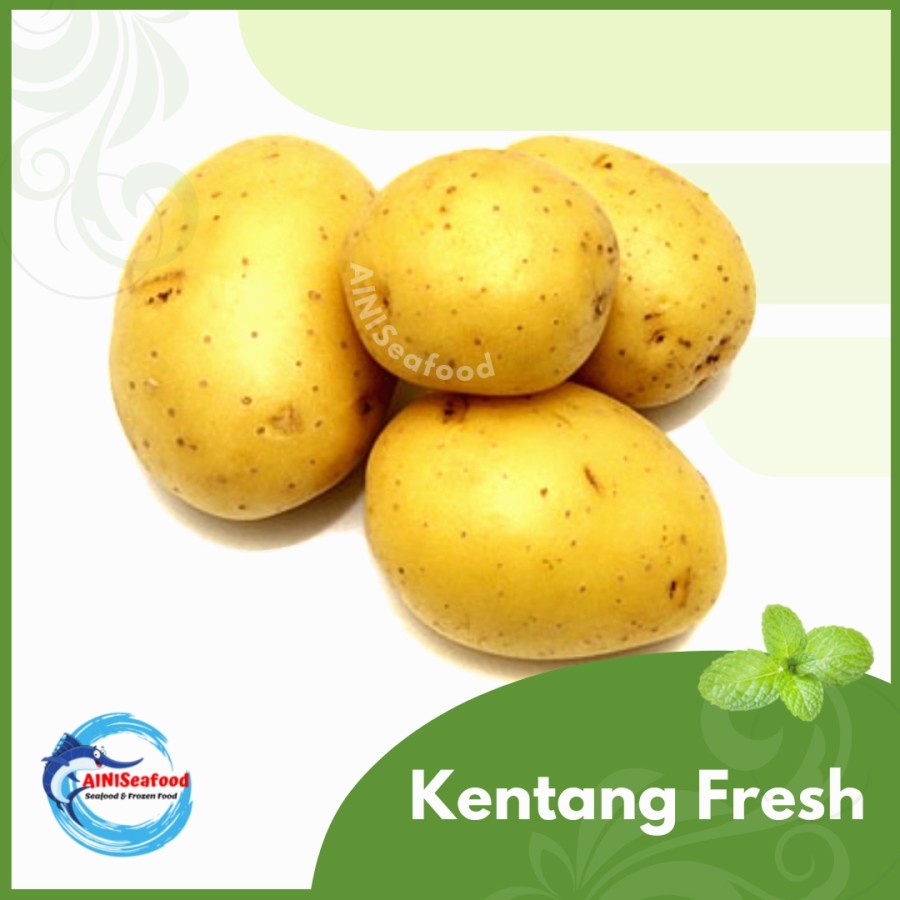 Jual Sayuran Kentang Segar Fresh Potato Vegetable Online Murah Surabaya ...