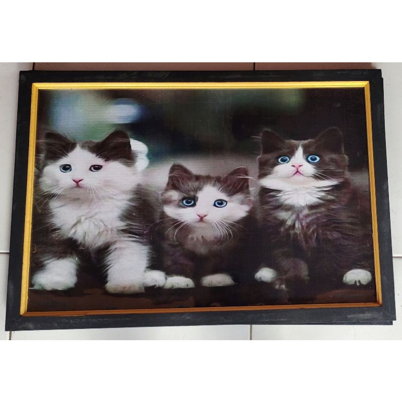 Jual hiasan dinding lukisan cetak kucing plus bingkai ukuran 65x45 ...