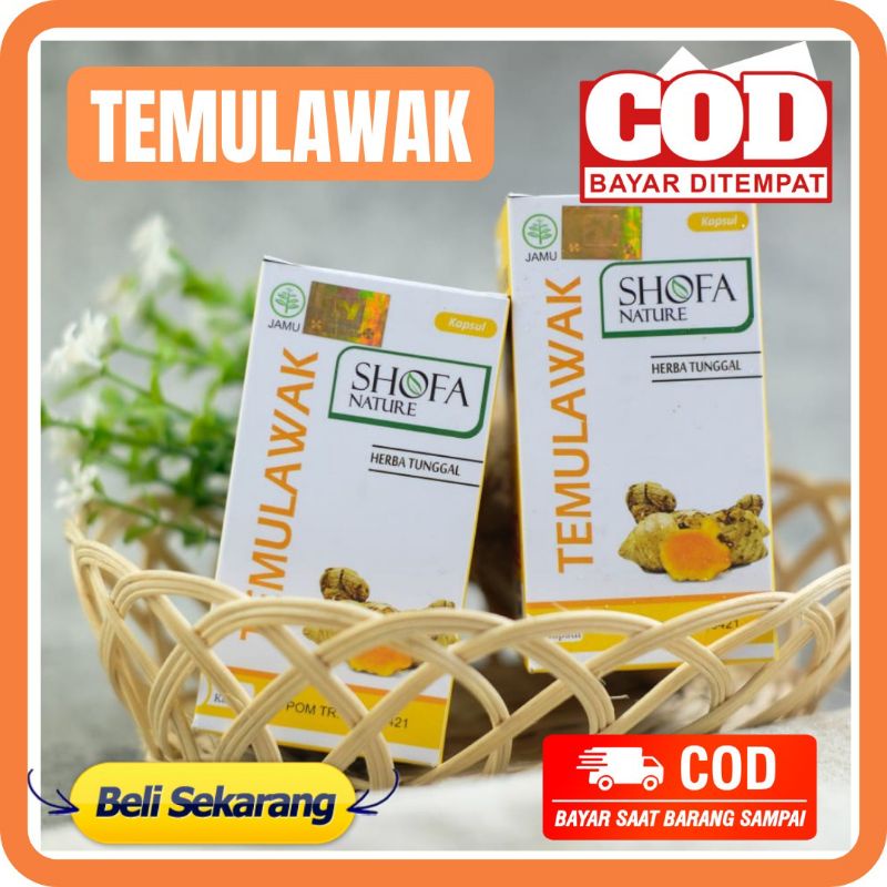 Jual TEMULAWAK - Kapsul Temulawak Original Shofa Nature Obat Asam ...