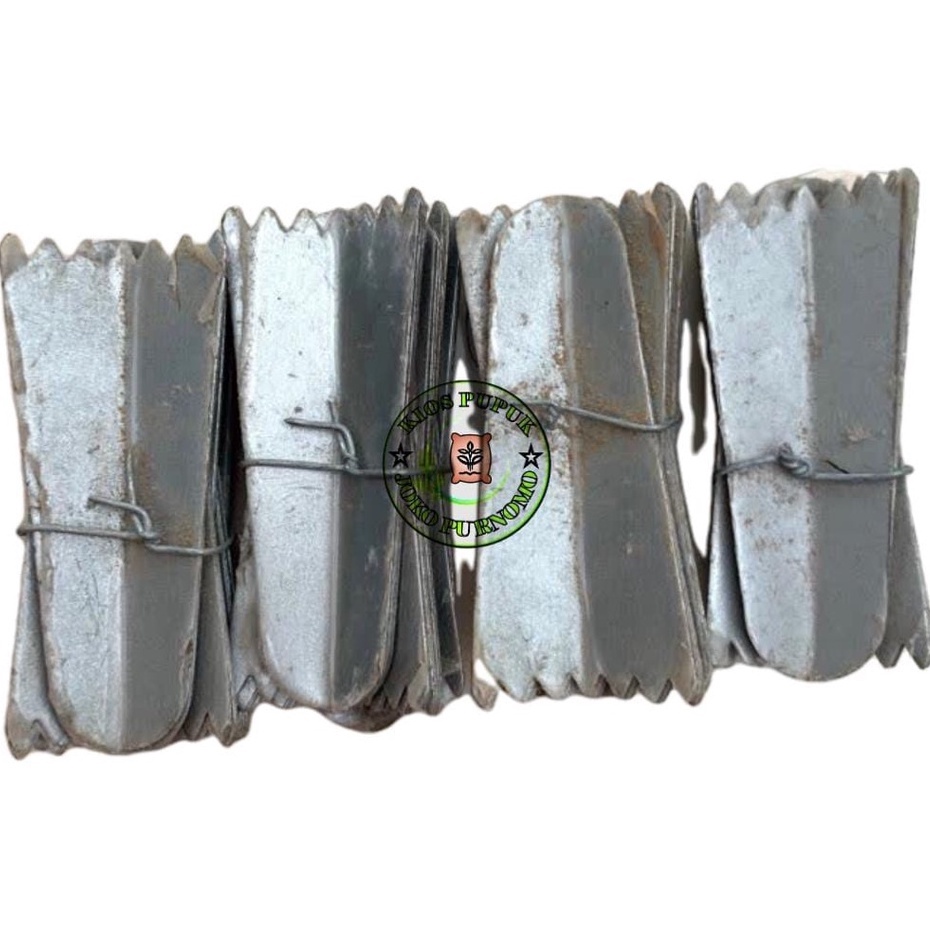Jual TALANG GETAH KARET (1 ikat isi 25 biji) | Shopee Indonesia