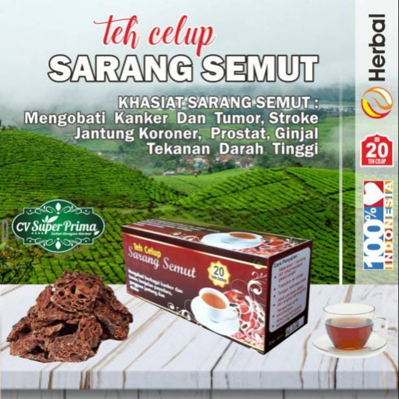 Jual TEH SARANG SEMUT HERBAL SARANGNSEMUT PAPUA | Shopee Indonesia