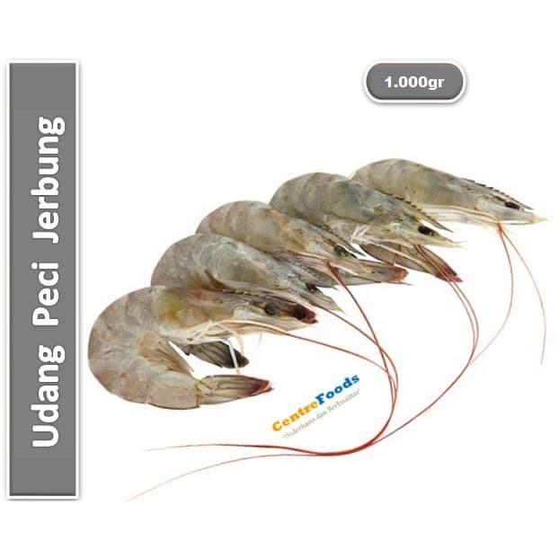 Jual Udang Peci Besar Fresh - Udang Jarbung | 1.000gr [ Harga Per KG ...