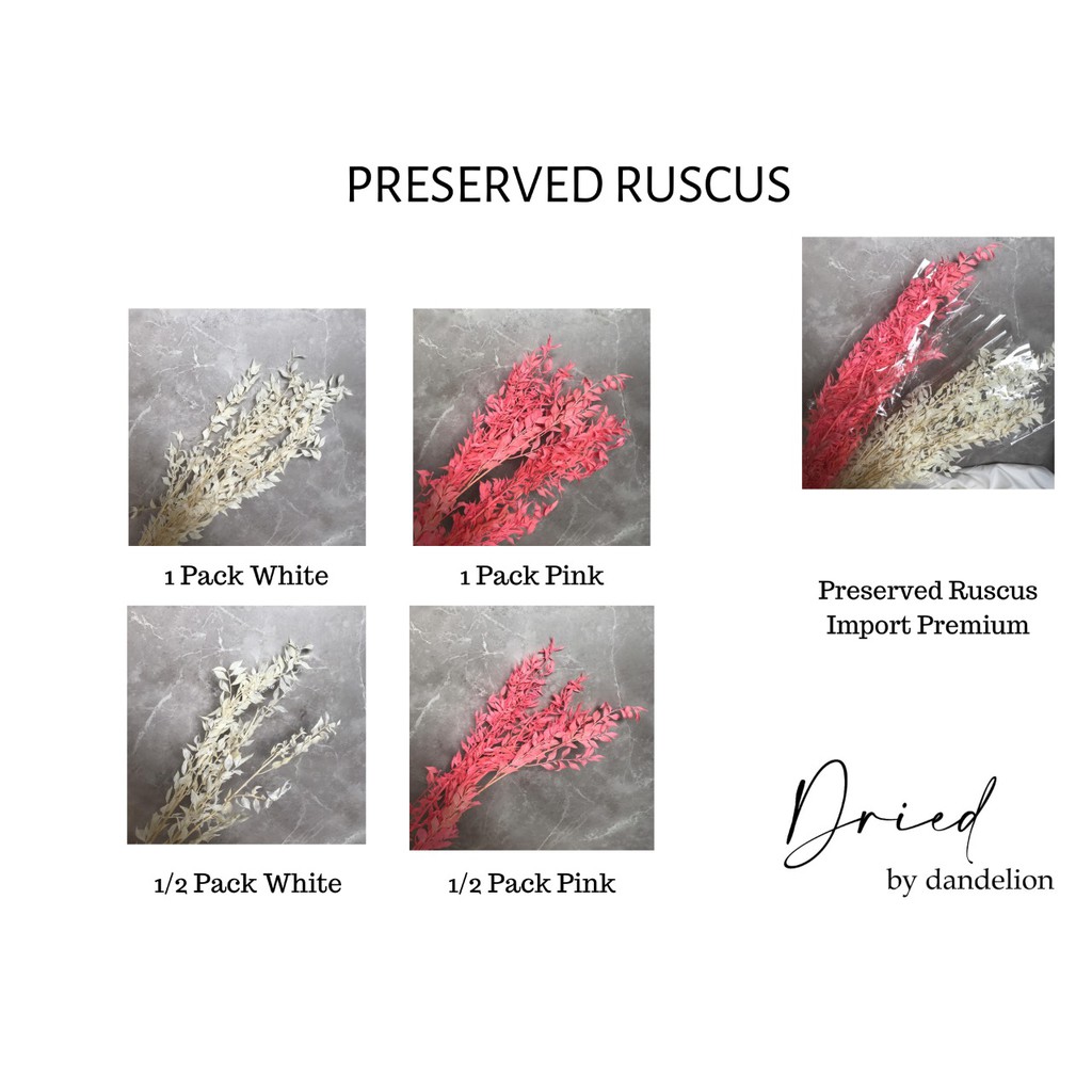 Jual PRESERVED RUSCUS - DRIED FLOWER BUNGA KERING DAUN RUSKUS | Shopee ...