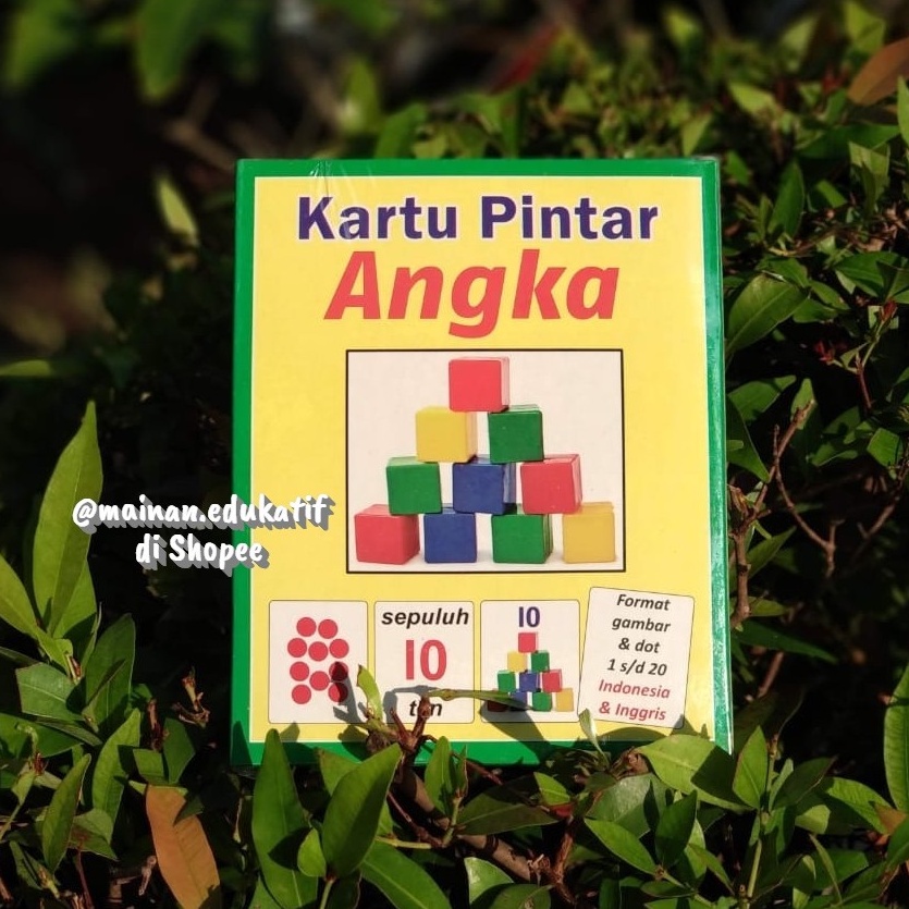 Jual The Brainy Playbox - BILINGUAL FLASH CARD ANGKA | Shopee Indonesia