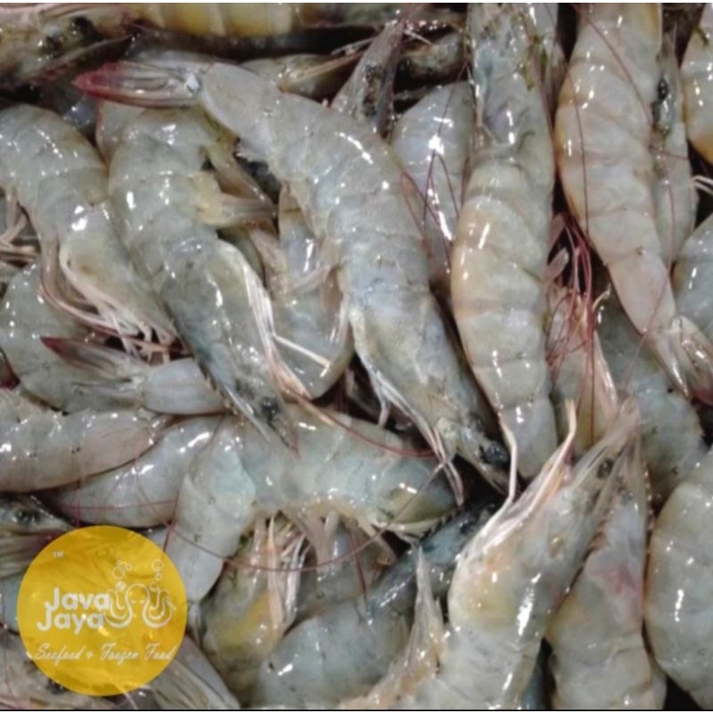 Jual Udang Vaname Utuh Segar Beku / Udang fanami | Shopee Indonesia
