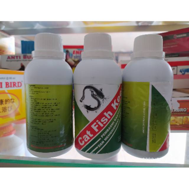Jual Catfish Keep/ Cat Fish Keep/ Obat Parasit Bakteri Jamur dan Lumut Ikan | Shopee Indonesia