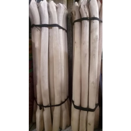 Jual DORAN GAGANG PACUL KAYU LABAN | Shopee Indonesia