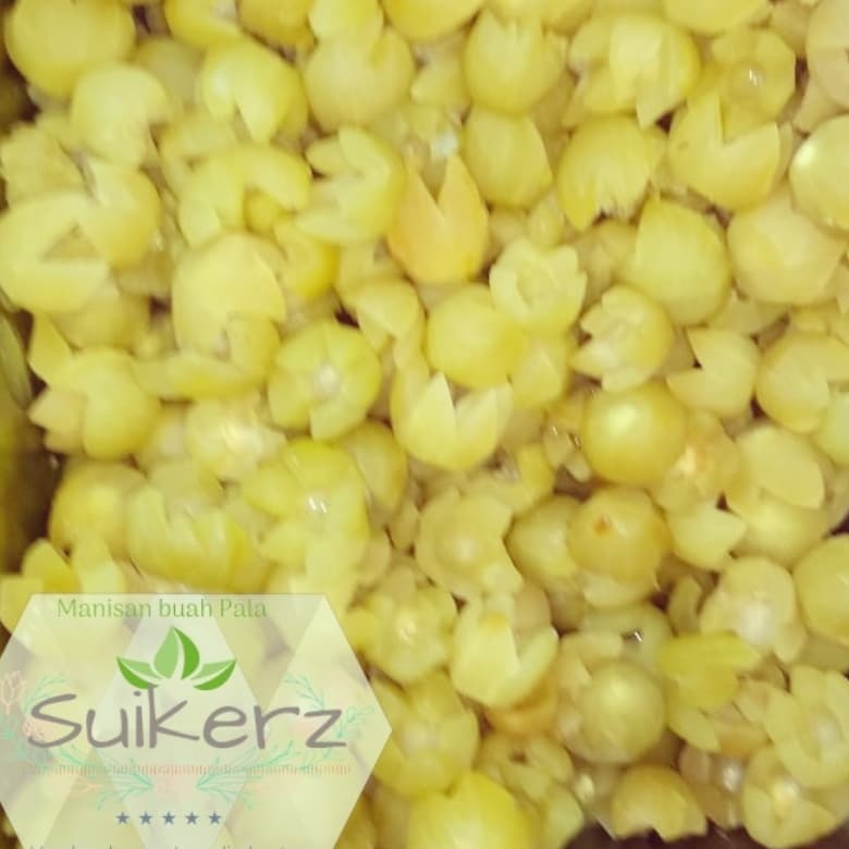 Jual Manisan pala basah manado 1 kilogram - FRESH Pala 1Kg - Suikerz ...