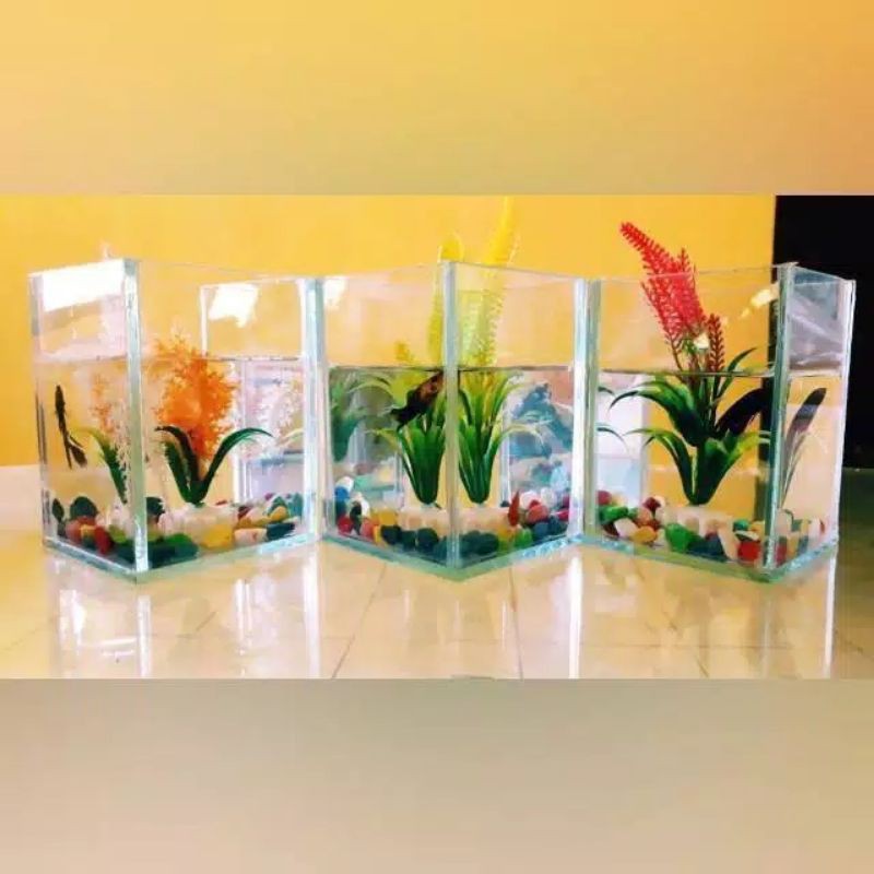 Jual Paket Aquarium Mini Lengkap / Soliter Ikan Cupang | Shopee Indonesia