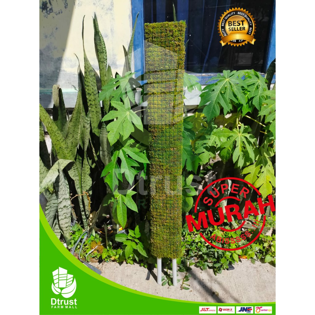 Jual Turus Papan Lumut Pipa 100 cm Tiang Penyangga Tanaman Lapis Moss ...