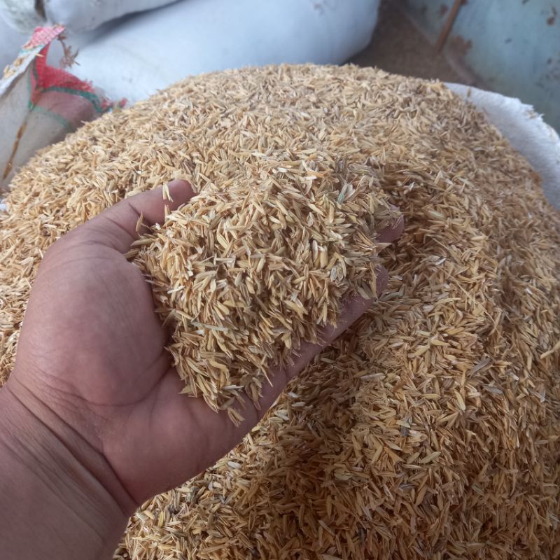 Jual Sekam Padi Mentah Kulit Merang Media Tanam kemasan 500 gram ...