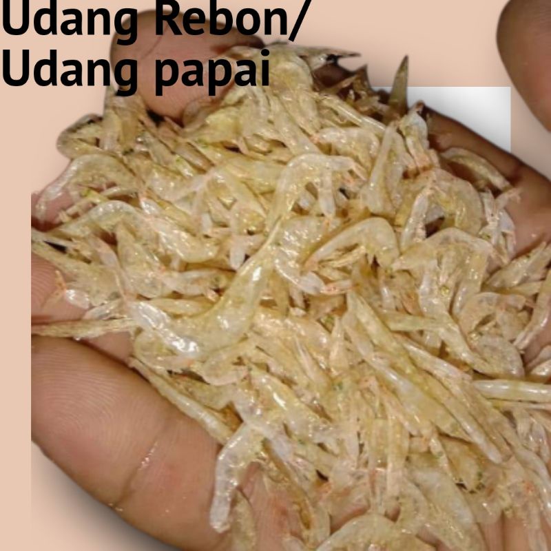 Jual Ikan Asin Udang Rebon Udang Papai | Shopee Indonesia