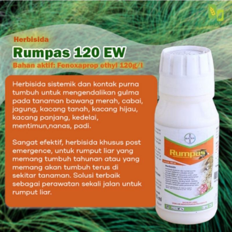 Jual Rumpas 120 EW - Herbisida cair Kemasan 100 ml | Shopee Indonesia