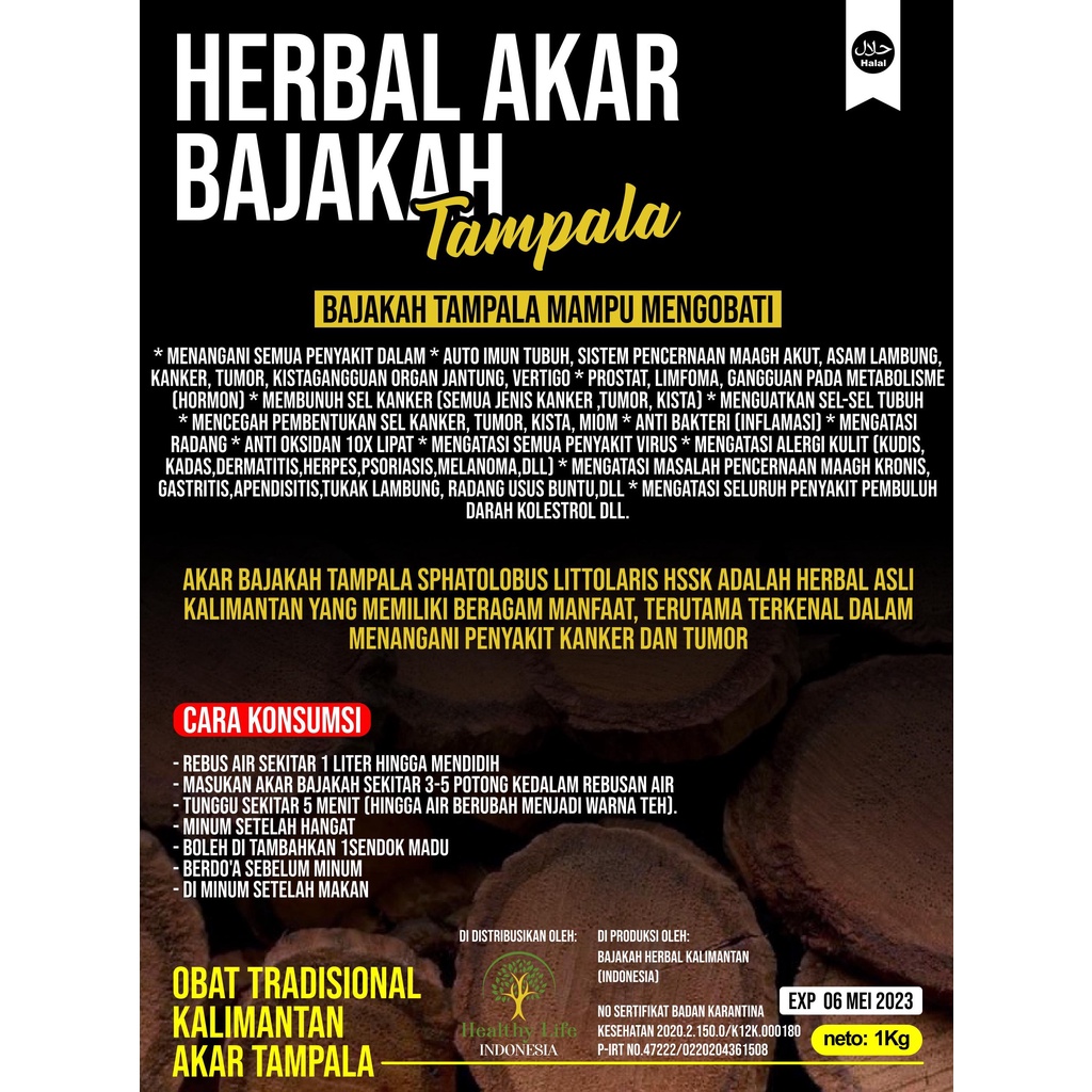 Jual Akar Bajakah Asli Kalimantan Kayu Bajakah Akar Kuning Tampala ... Jual Akar Bajakah Asli Kalimantan Kayu Bajakah Akar Kuning Tampala ...