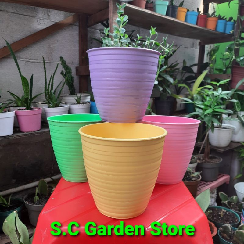 Jual POT BUNGA TAWON PIRUS / TIRUS SJP 15 RAJA LEBAH WARNA WARNI | POT ...
