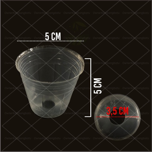 Jual SOFTPOT ANGGREK - POT ANGGREK - SOFTPOT ANGGREK MURAH - POLYPOT ...