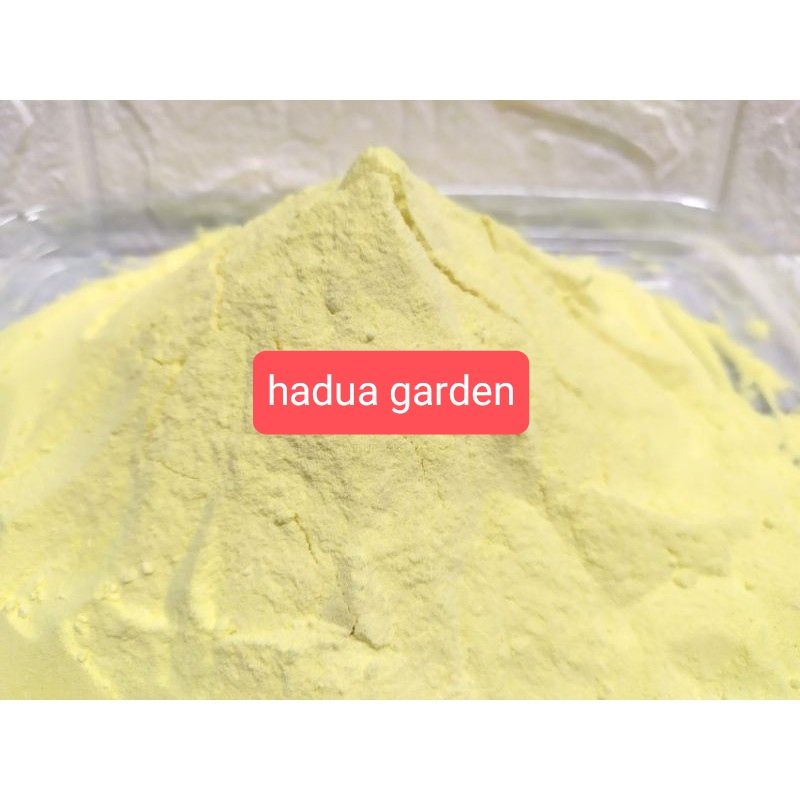 Jual Bubuk belerang sulfur murni 1kg | Shopee Indonesia