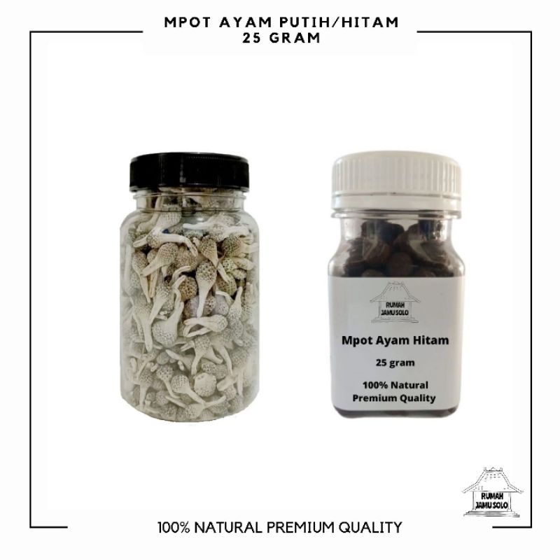 Jual 25 gram empot ayam mpot ayam putih/hitam biang super isi (-+200 ...