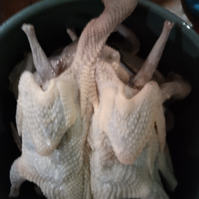 Jual daging burung puyuh fress frozen isi 10ekor | Shopee Indonesia