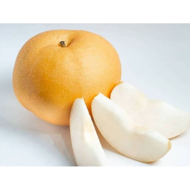 Jual BUAH PEAR/PEARS SINGO KOREA / PIR KOREA FRESH 1 KG | Shopee Indonesia