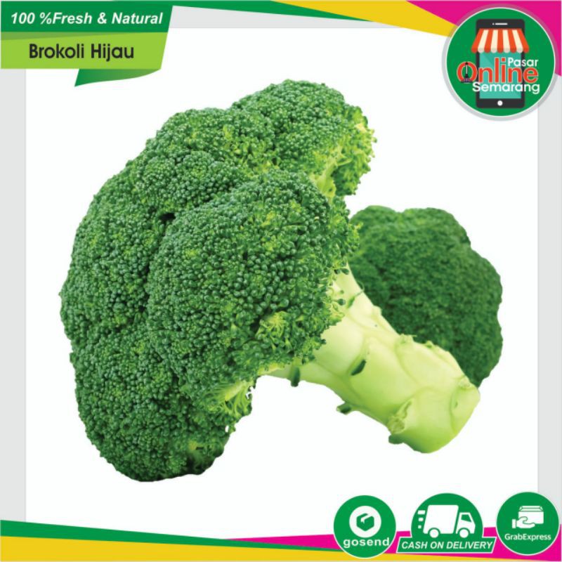 Jual Sayur Sayuran Brokoli / Brokoli Hijau / Sayur Mayur /Segar / Fresh ...