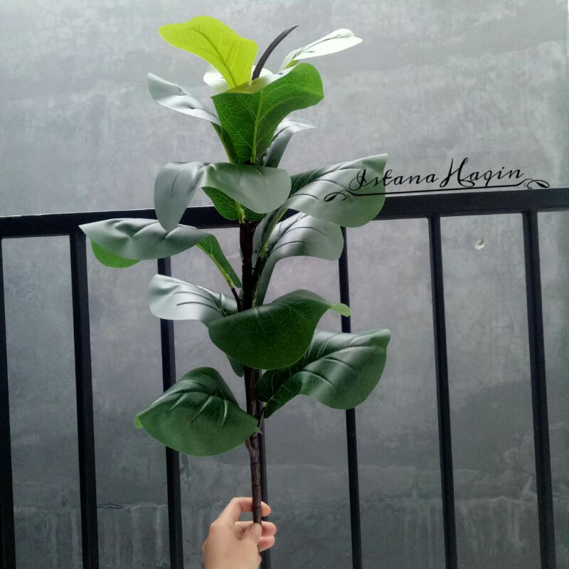 Jual Pohon Ketapang Artificial Tinggi 35cm dan 60cm | Shopee Indonesia