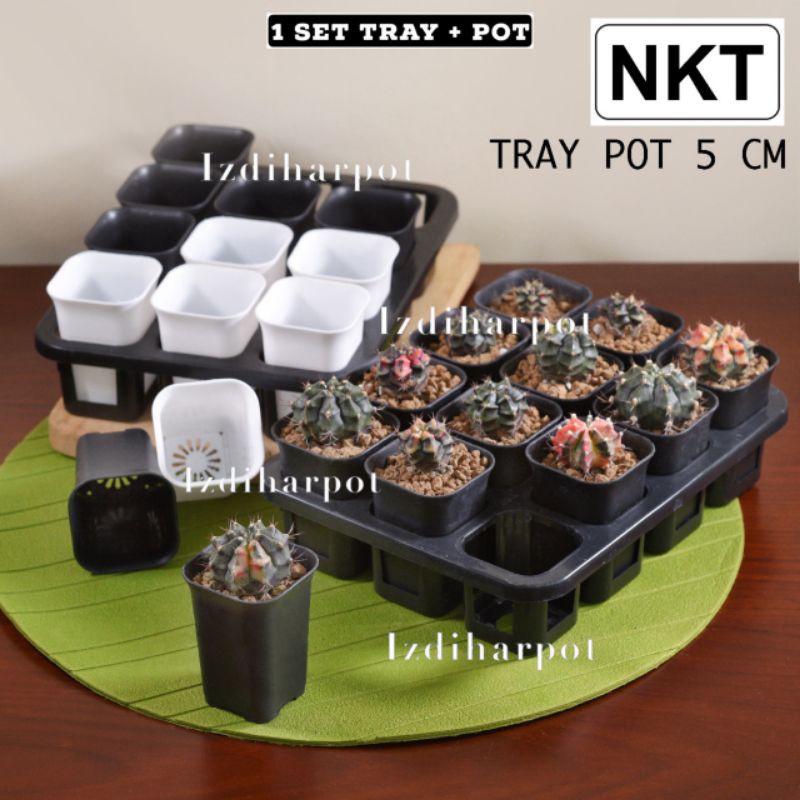 Jual 1 set Tray + pot bunga tanaman nkt kotak 5cm | tray semai bibit | Shopee Indonesia