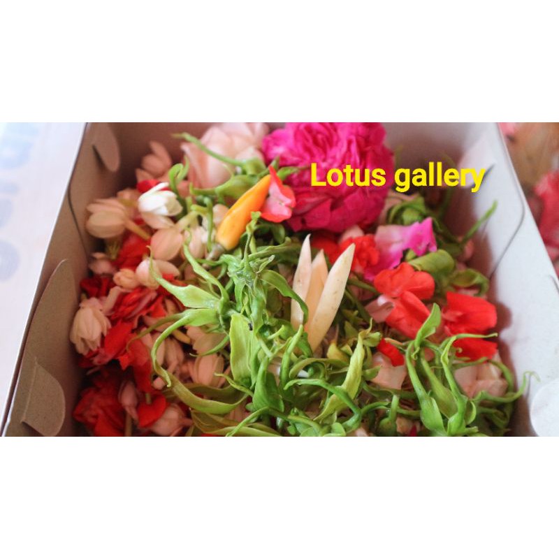 Jual kembang 7 rupa kembang wangi | Shopee Indonesia